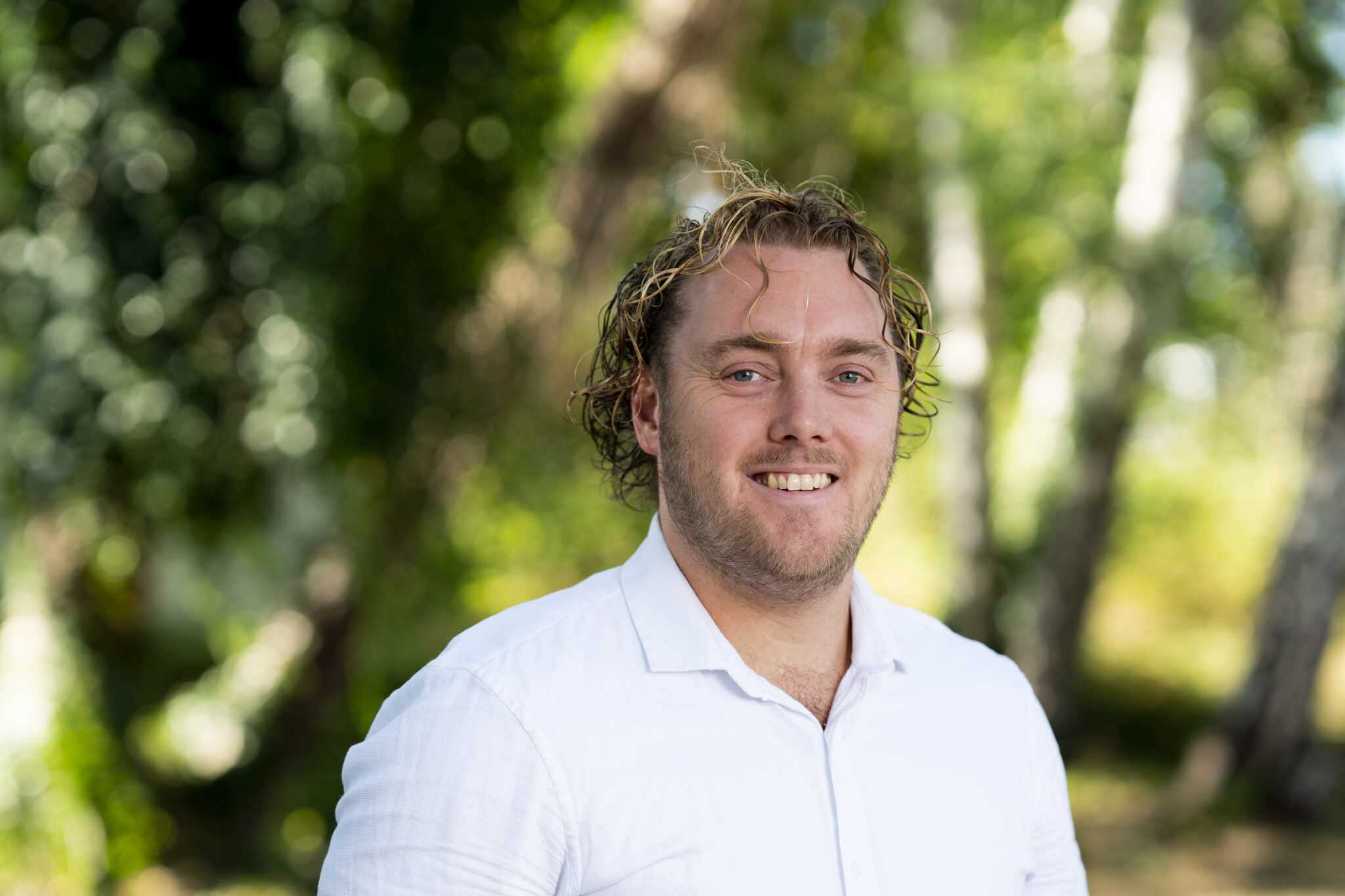 Dashboards - Accoris